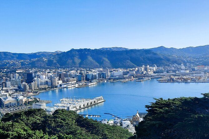 Wellington Shore Excursion: From Cave to Coast Highlights Private Tour - Transportation and Comfort