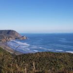 West Coast Discovery - Piha Beach or Muriwai Beach from Auckland - Frequently Asked Questions