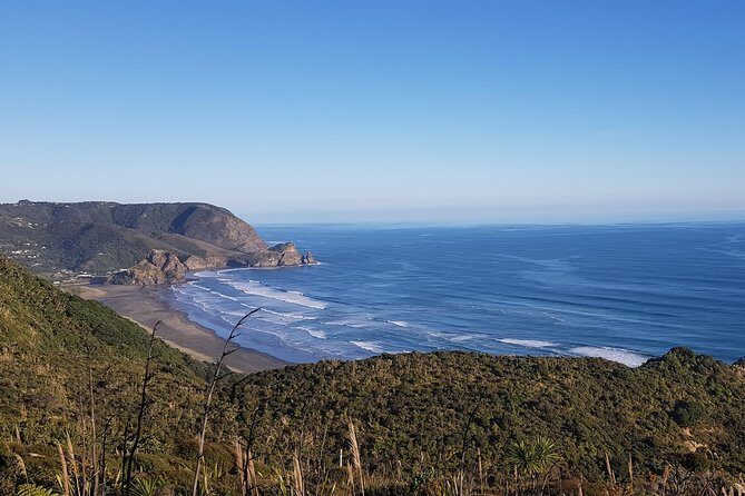 West Coast Discovery - Piha Beach or Muriwai Beach from Auckland - Frequently Asked Questions