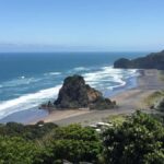West Coast Discovery Piha Beach Private Tour - What to Expect on the Tour