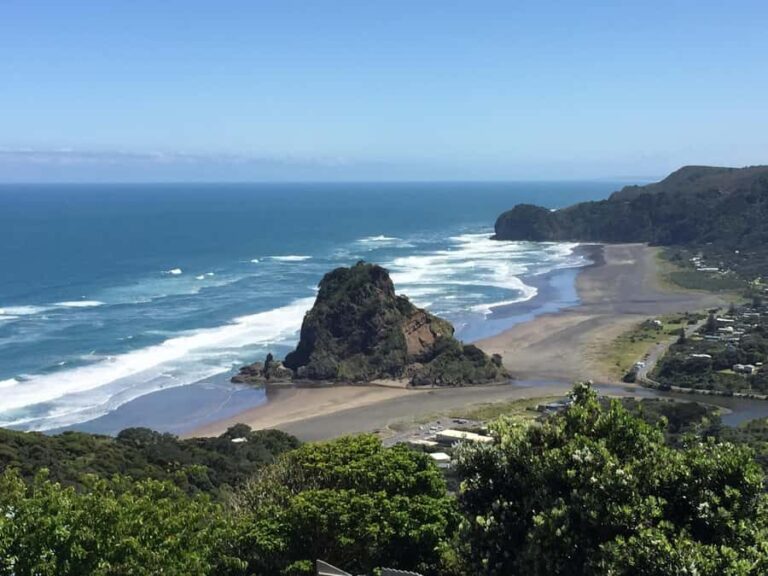 West Coast Discovery Piha Beach Private Tour - What to Expect on the Tour