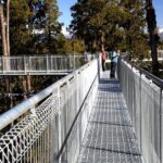 West Coast Tower Zipline & Treetop Walk Combo - An In-Depth Look at the Experience