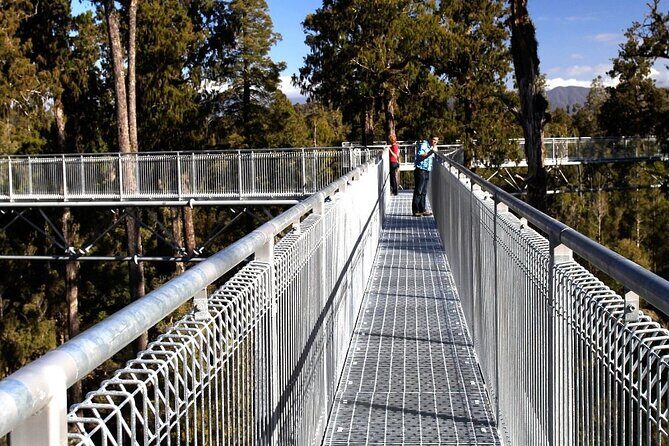 West Coast Tower Zipline & Treetop Walk Combo - An In-Depth Look at the Experience