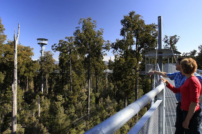 West Coast Treetop Walk - Authentic Traveler Perspectives