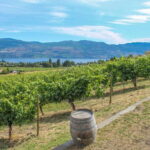 West Kelowna: Afternoon Sightseeing and Wine Tour - The Winery Stops: A Mix of Sizes and Styles