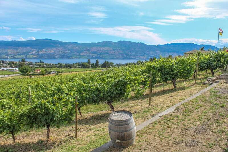 West Kelowna: Afternoon Sightseeing and Wine Tour - The Winery Stops: A Mix of Sizes and Styles