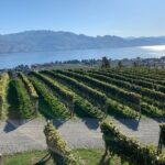 West Kelowna Full Day Wine Tour - What to Expect During the Day