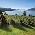 West Kelowna Wine Trail - Visit 5 wineries - Practical Tips for Your Tour