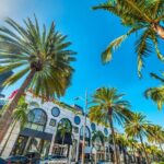 West LA Holiday Donut Adventure by Underground Donut Tour - Who Will Love This Tour?