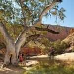 West MacDonnell Ranges & Standley Chasm Day Trip from Alice Springs - Practical Tips for Future Travelers
