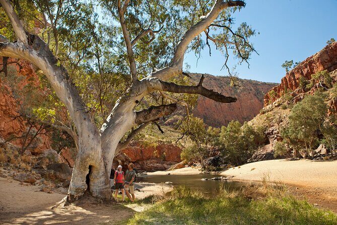 West MacDonnell Ranges & Standley Chasm Day Trip from Alice Springs - Practical Tips for Future Travelers