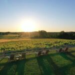 West Michigan Wine and Brewery Join in Day Tour - Practical Tips for Your Tour Day