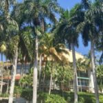 Wet & Dry Fort Lauderdale - Why This Tour Adds Value