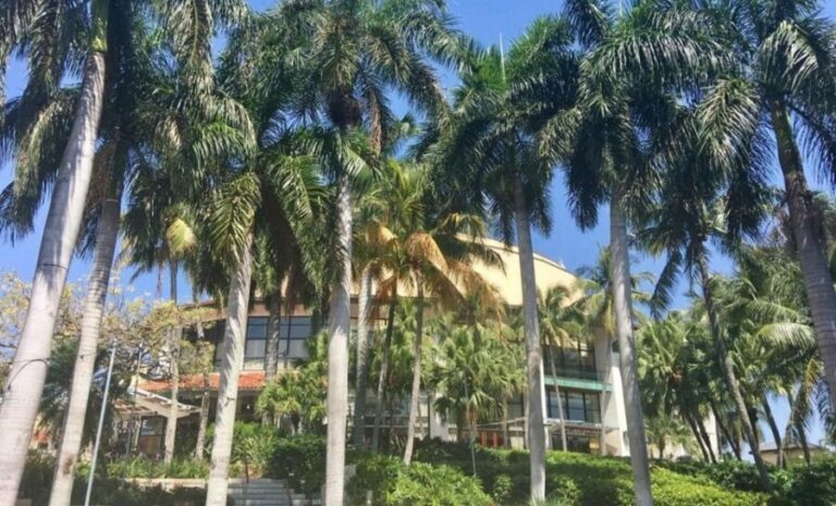 Wet & Dry Fort Lauderdale - Why This Tour Adds Value