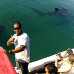 Whale Shark from Cancun, Riviera Maya and Tulum All Inclusive - Why This Tour Offers Great Value