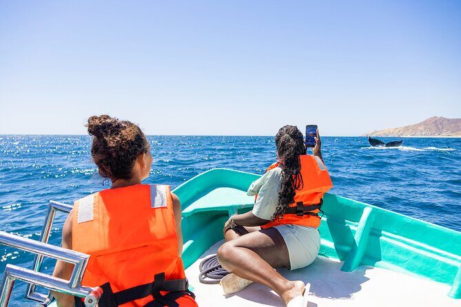 Whale Tour c/ Certified Guide, Photos & Hydrophone - Highlights from Real Reviews