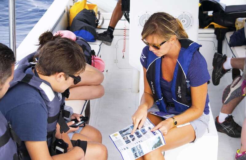 Whale Watch Cabo: Zodiac Whale Adventure - FREE Photos - FAQ About Whale Watch Cabo Zodiac Adventure