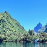 Whale watching DE Tahiti Peninsula - The Value of the Experience