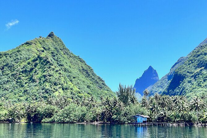 Whale watching DE Tahiti Peninsula - The Value of the Experience