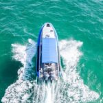 Whale Watching Discovery Tour from Lake Macquarie - The Experience: What You Can Expect