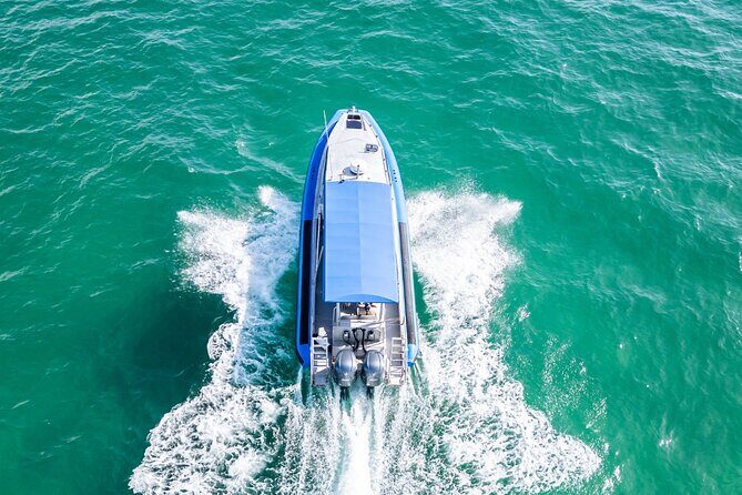 Whale Watching Discovery Tour from Lake Macquarie - The Experience: What You Can Expect