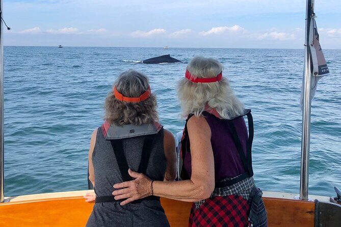 Whale Watching Experience  4 Hours in Puerto Vallarta - Who Will Love This Tour?