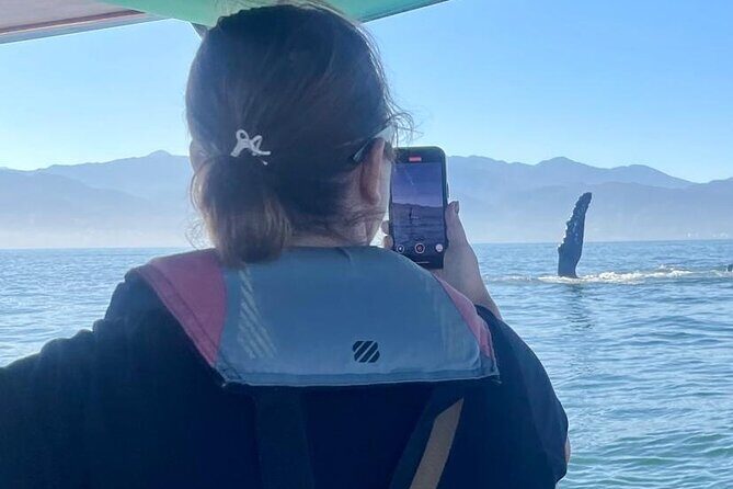 Whale Watching Experience in Puerto Vallarta - What Could Be Better?
