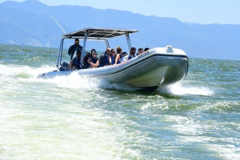 Whale Watching Guaranteed Experience in Puerto Vallarta - Whats Included & Whats Not