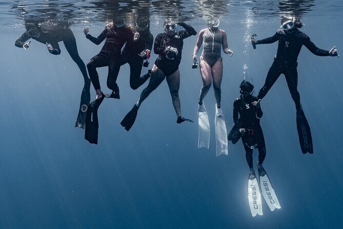 Whale Watching Shared Half Day - The Sum Up