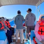 Whale Watching Tour - A Closer Look at the Tour Experience