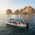 Whale Watching Tour in Cabo San Lucas - The Experience: What to Expect on the Water
