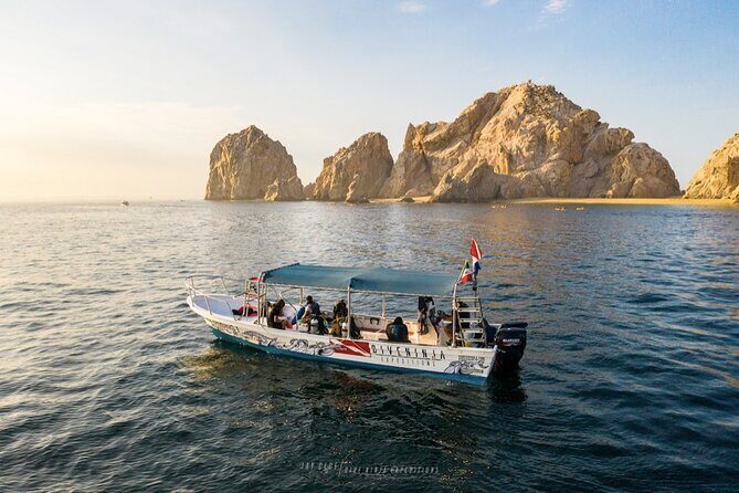 Whale Watching Tour in Cabo San Lucas - The Experience: What to Expect on the Water