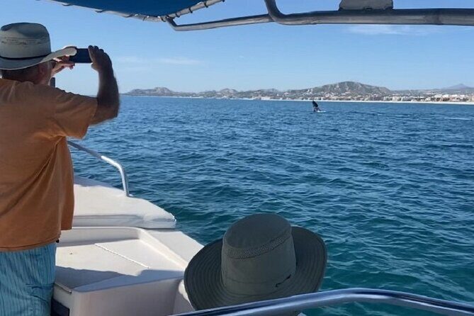 Whale Watching Warranty in San José del Cabo Snacks and drinks - What to Keep in Mind