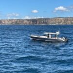 Whales of Sydney Sea Safari - Private - Key Points