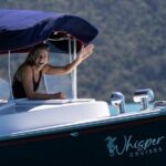 Whisper Cruises - One-Hour Turtle Spotting Bay Cruise - The Itinerary Breakdown: What to Expect