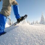 Whistler: Backcountry Snowshoeing Tour with Guide - Who Should Book This Tour?