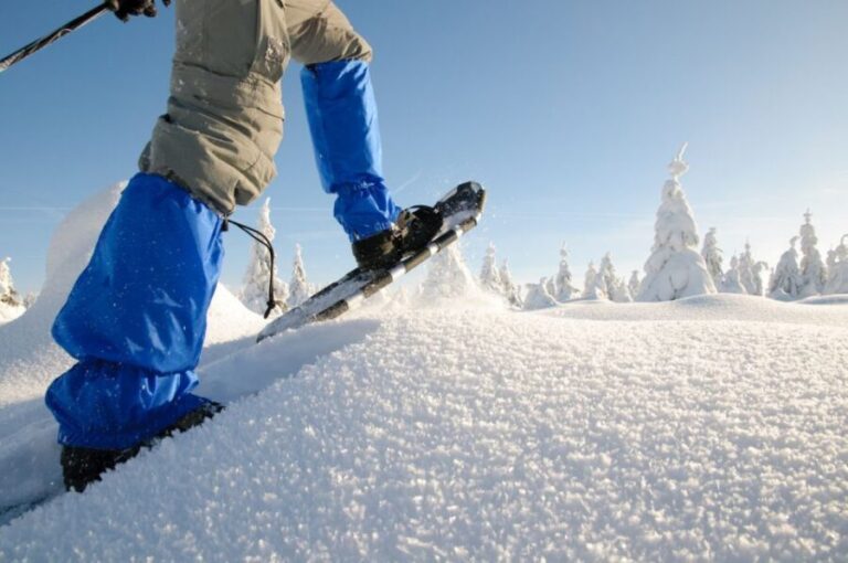 Whistler: Backcountry Snowshoeing Tour with Guide - Who Should Book This Tour?