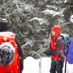 Whistler Intro to Backcountry Skiing and Splitboarding - Why This Tour Offers Great Value