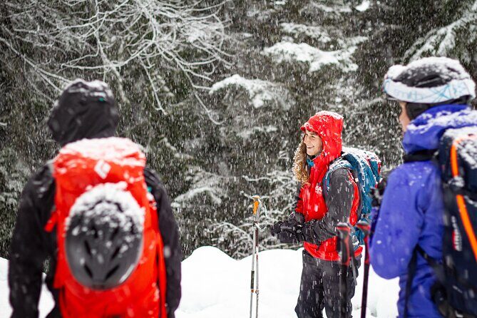 Whistler Intro to Backcountry Skiing and Splitboarding - Why This Tour Offers Great Value