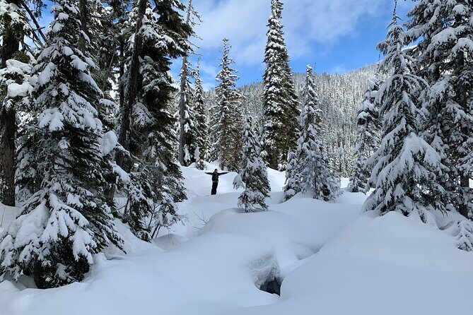 Whistler Lost Lake Snowshoeing and Village Tour - Final Thoughts
