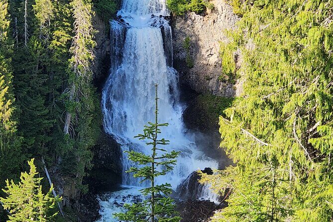 Whistler, Sea to Sky Private Tour in Vancouver - Authentic Traveler Insights from Reviews