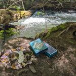 Whistler: Tour, Immersive Nature Experience - Why This Tour Works Well for Travelers