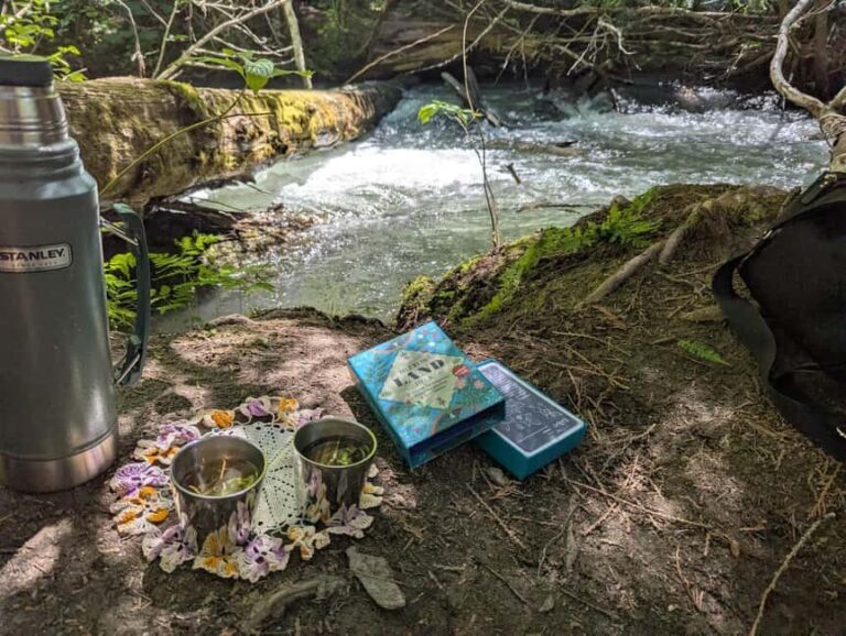 Whistler: Tour, Immersive Nature Experience - Why This Tour Works Well for Travelers