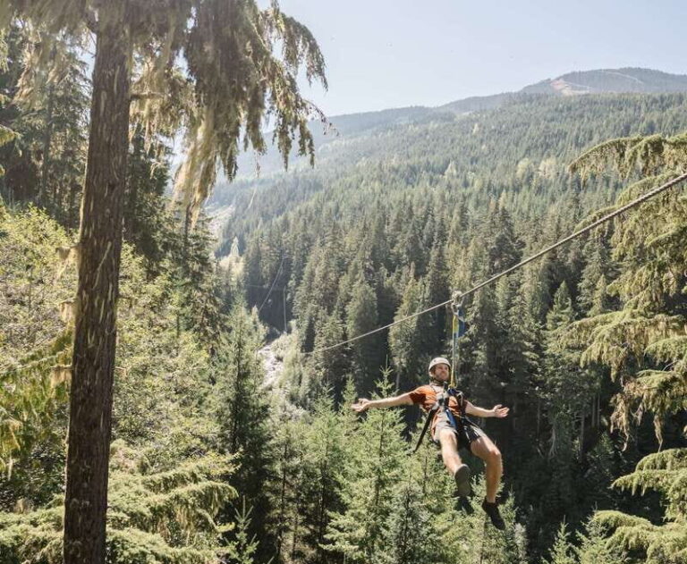 Whistler Zipline Experience: Ziptrek Bear Tour - An In-Depth Look at the Whistler Zipline Experience