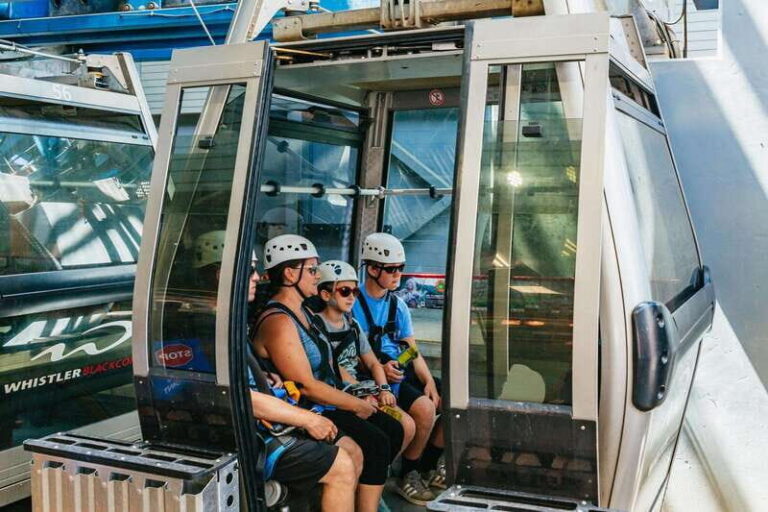 Whistler: Ziplining Experience - Why This Tour Offers Good Value