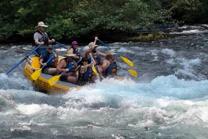 Whitewater Rafting on The McKenzie River - Practical Tips for Your Trip