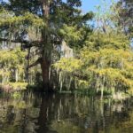 Whitney Plantation and Manchac Swamp Kayak Tour Combo - Exploring the Manchac Swamp Kayak Adventure