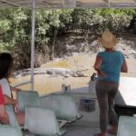 Whitsunday Crocodile Safari - What Makes This Tour Stand Out?