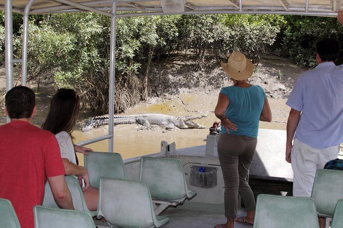 Whitsunday Crocodile Safari - What Makes This Tour Stand Out?