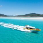 Whitsundays Day Cruise: Whitehaven Beach & Hill Inlet - Why This Tour Is Worth It: Diving Into Details